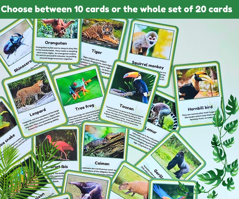 Rainforest Facts Flashcards | Jungle Animals Flashcards | Montessori ...