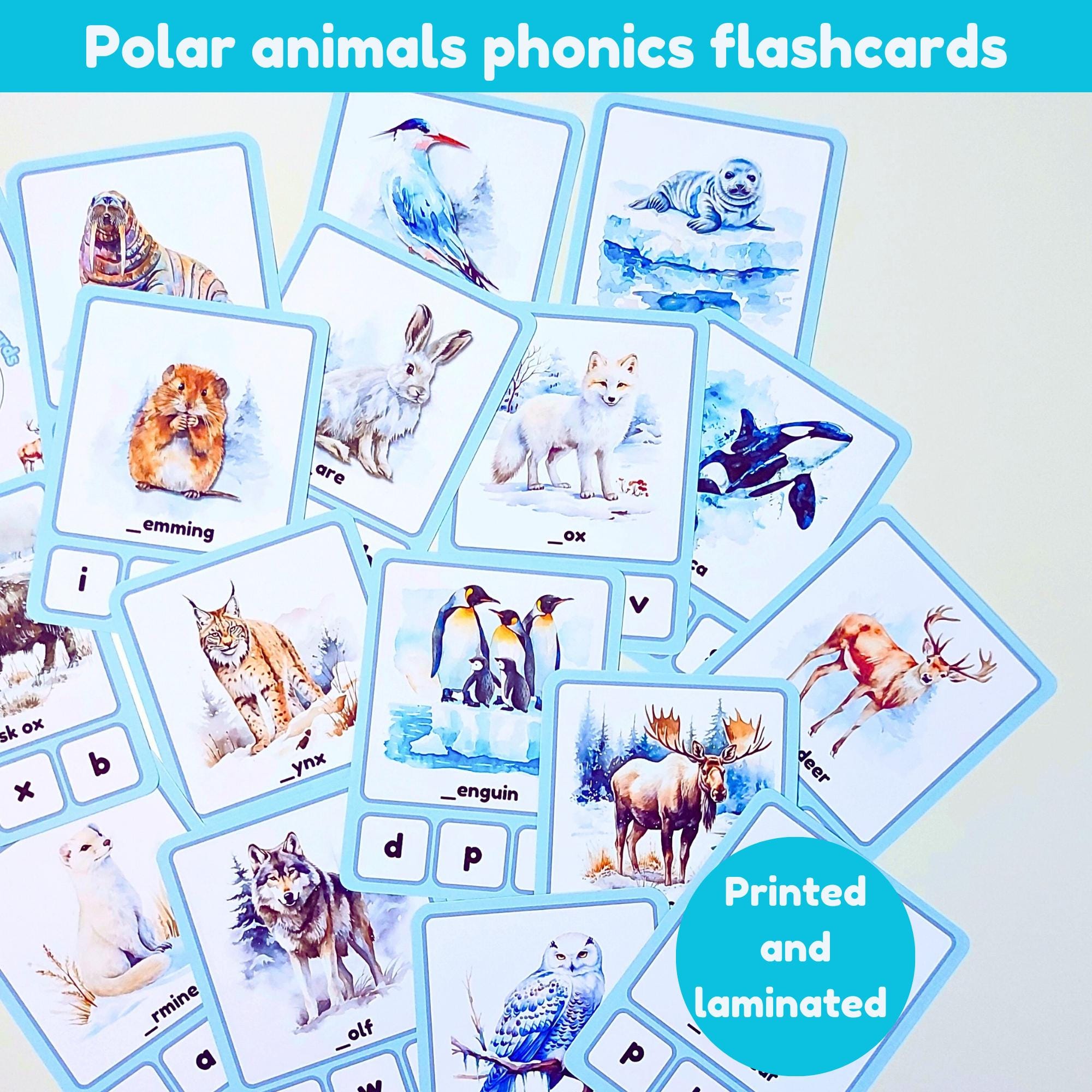 Polar Animals Phonics Flashcards | 16 Flashcards | Watercolour ...