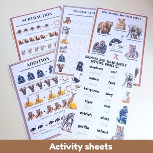 Wild Animals and Their Babies Learning Pack | Wild Animals | Flashcards ...