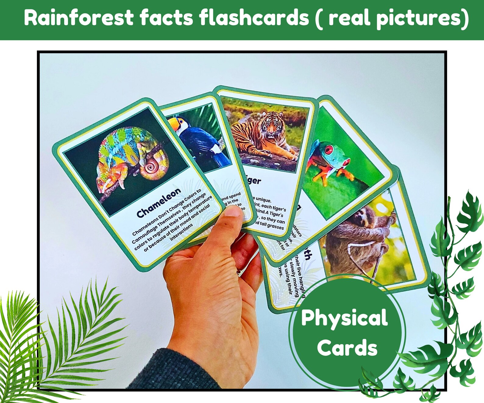 Rainforest Facts Flashcards | Jungle Animals Flashcards | Montessori ...
