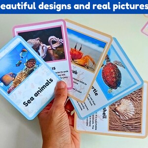 Ocean Facts Flash Cards | Sea Animals Flashcards With Real Pictures ...