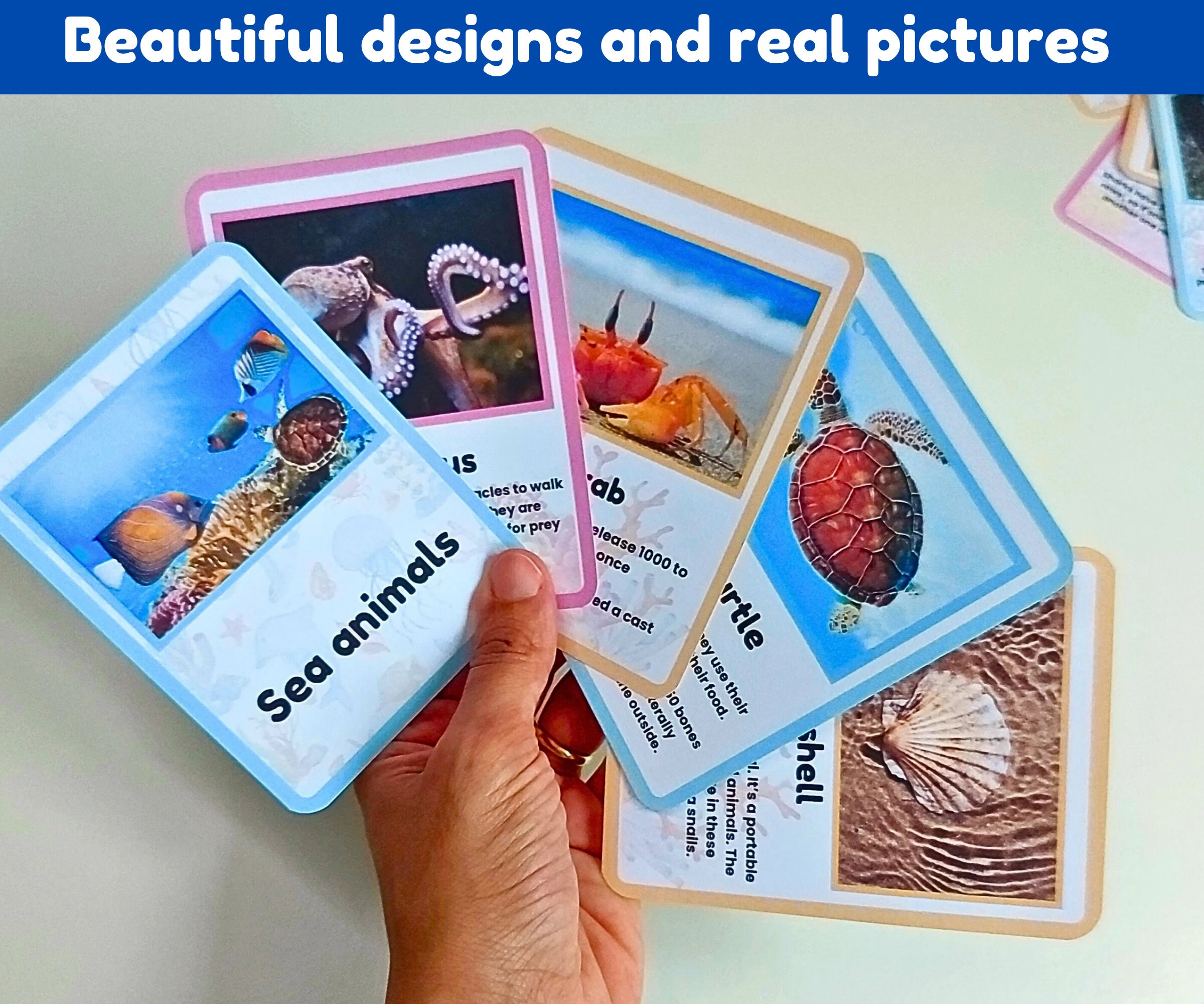 Ocean Facts Flash Cards | Sea Animals Flashcards With Real Pictures ...