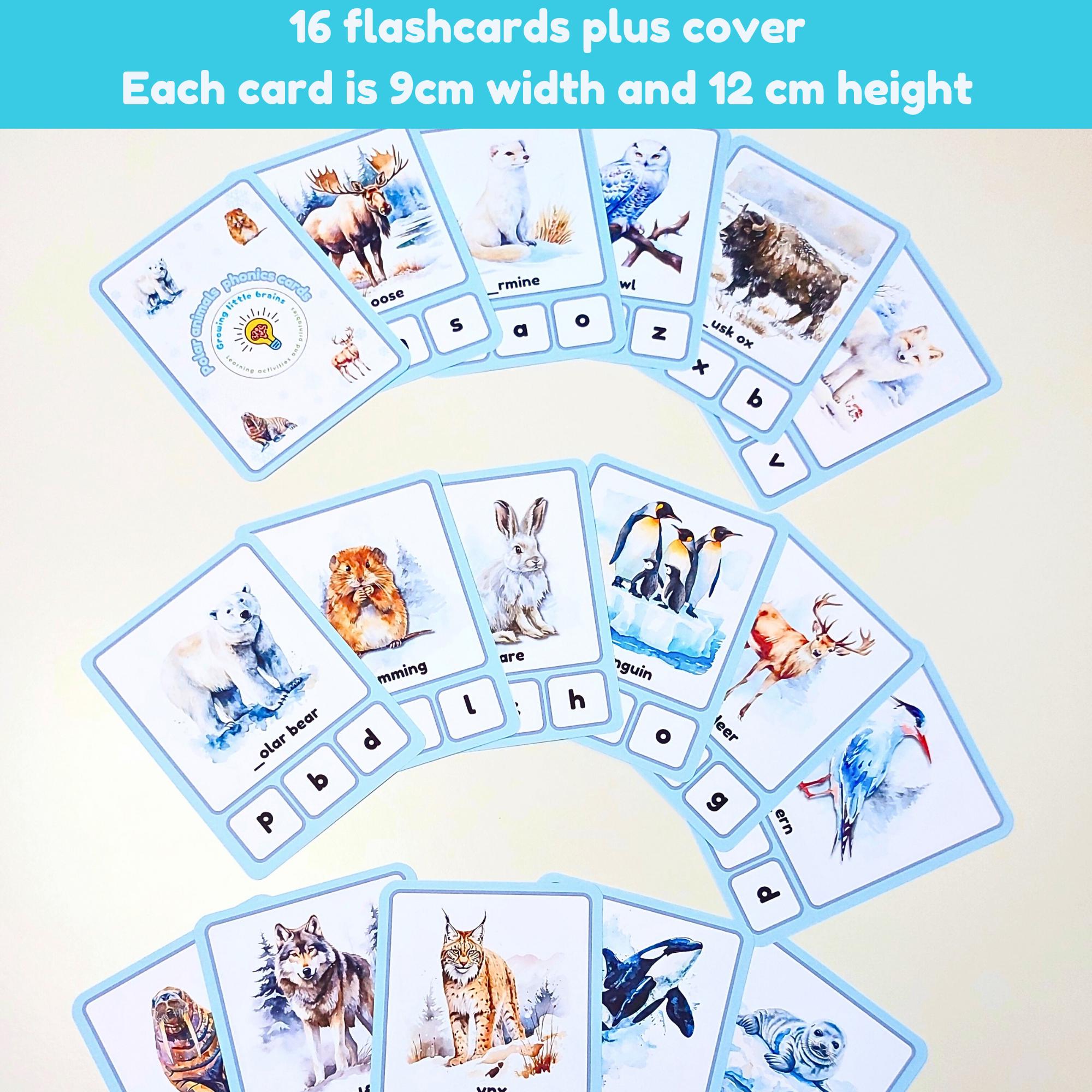 Polar Animals Phonics Flashcards | 16 Flashcards | Watercolour ...
