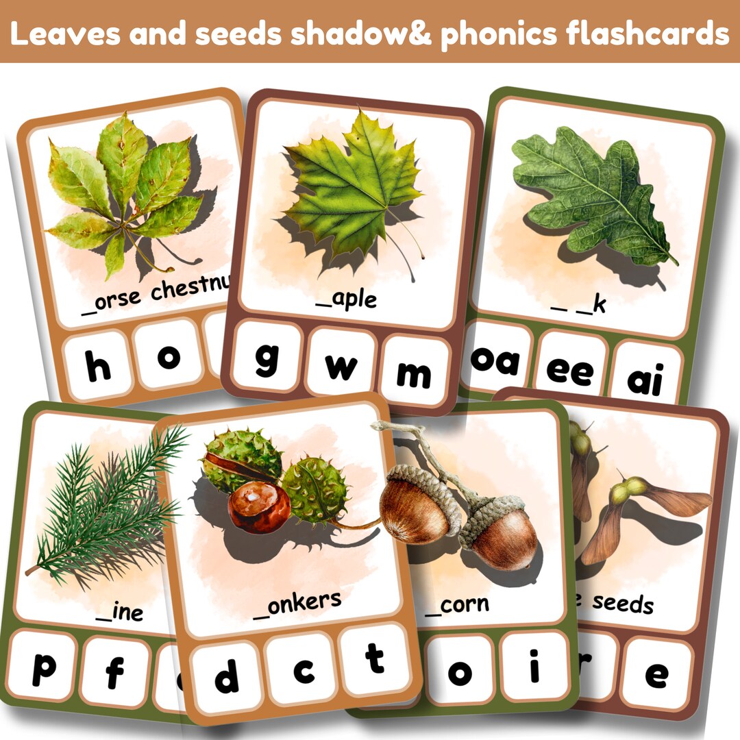 British Leaves and Seeds Shadow Match and Phonics Clip Flashcards | a ...