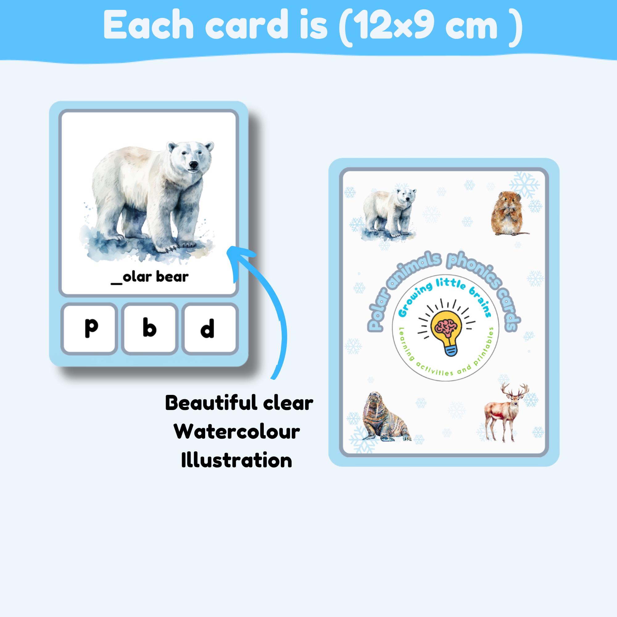Polar Animals Beginning Sounds Cards | Arctic Animals | Phonics | 16 ...