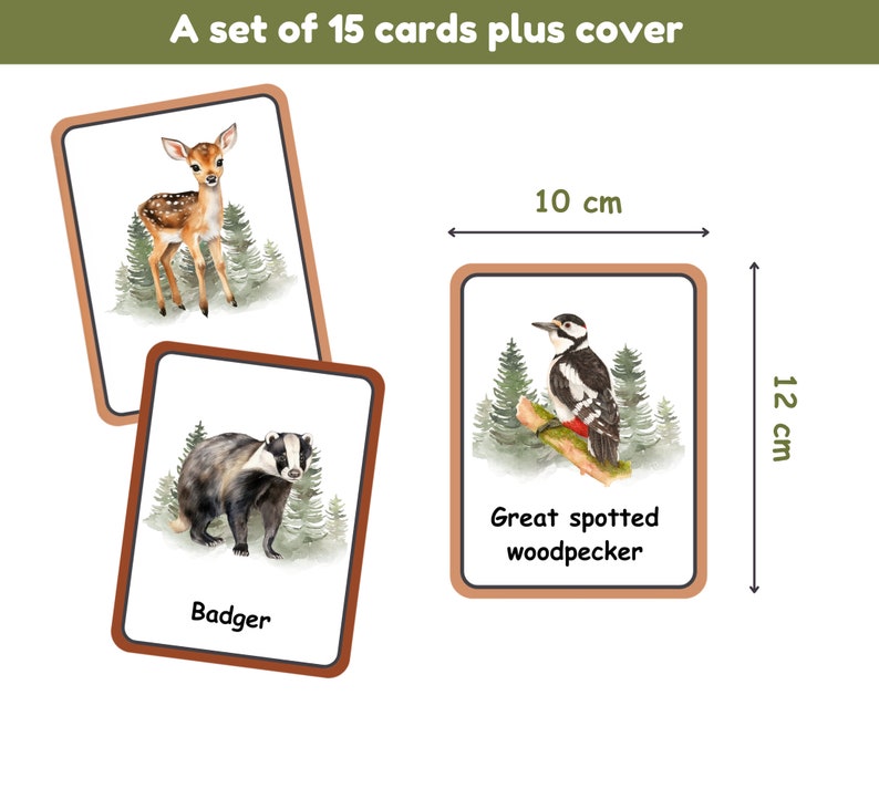 Woodland Animals Flashcards | a Set of 15 Cards Plus a Beautiful Co Era ...