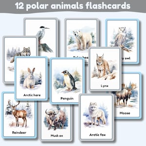 Polar Animals Learning Pack | Animals Tracks | Footprints | A4 Poster ...