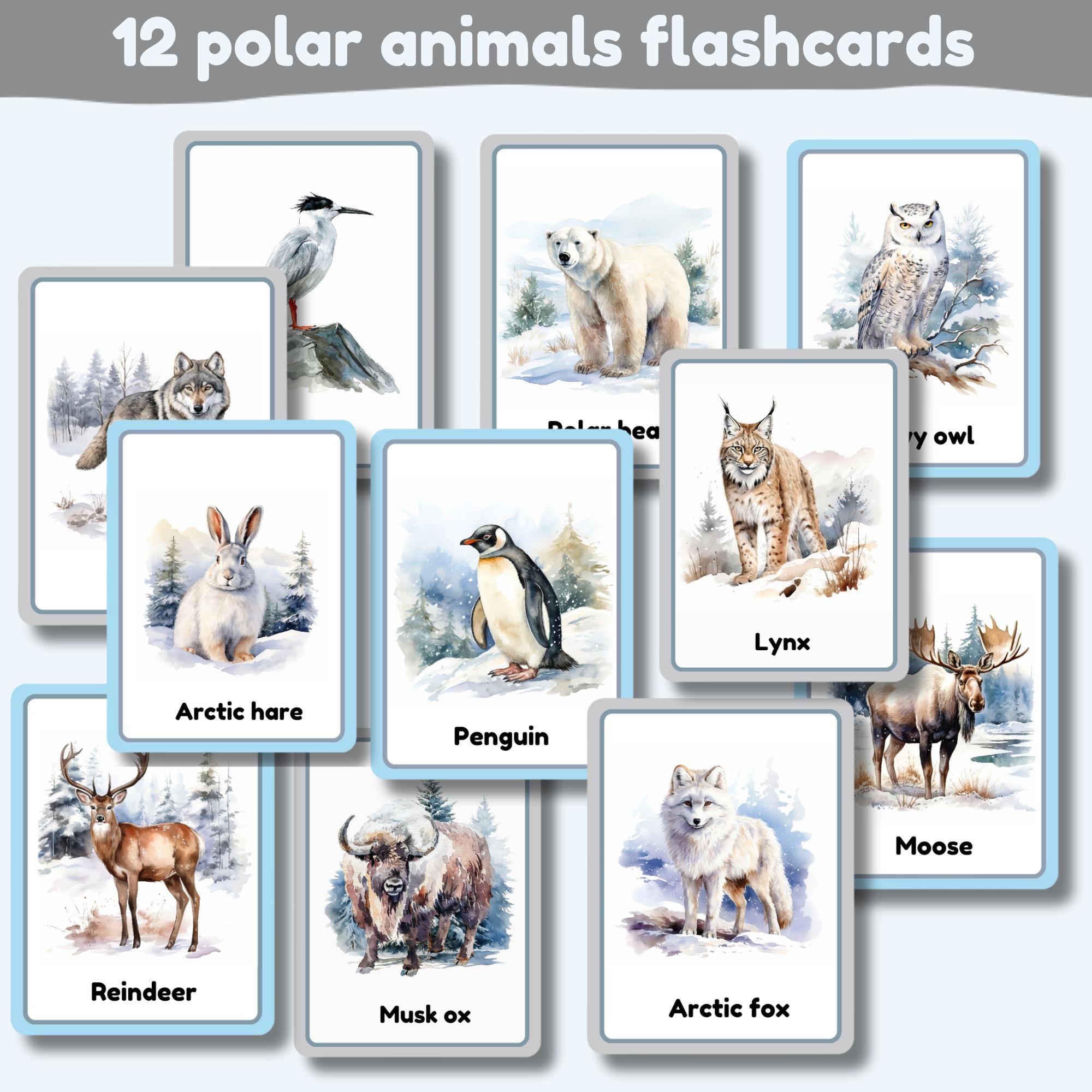 Polar Animals Learning Pack | Animals Tracks | Footprints | A4 Poster ...