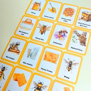 All About Bees Learning Pack | Life Cycle | Anatomy of Flower | Honey ...