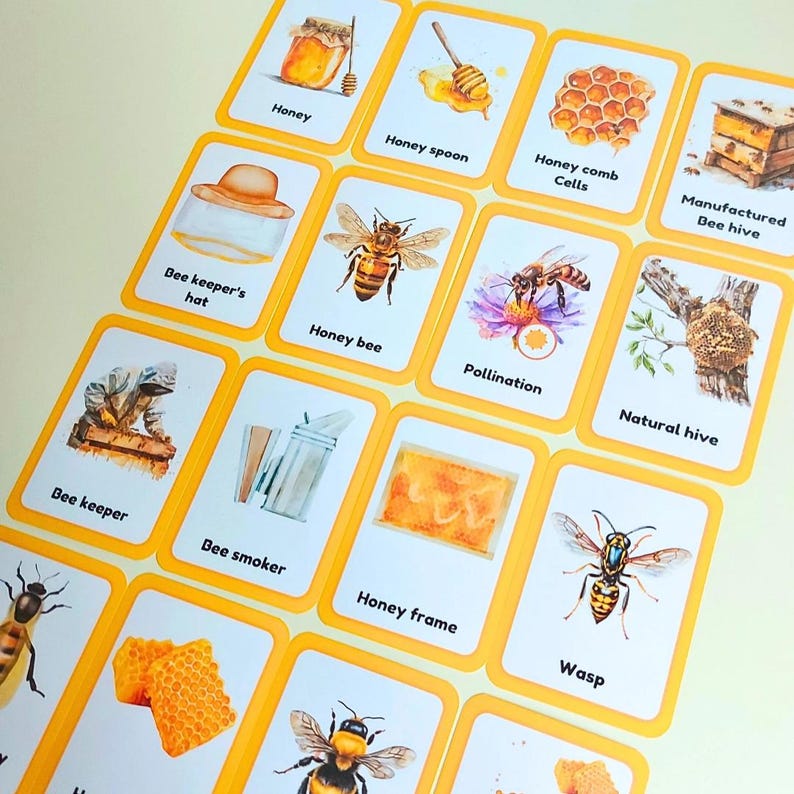 All About Bees Learning Pack | Life Cycle | Anatomy of Flower | Honey ...