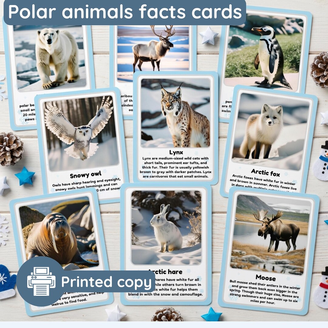 Polar Animals Facts Flashcards With Real Pictures | a Set of 20 ...