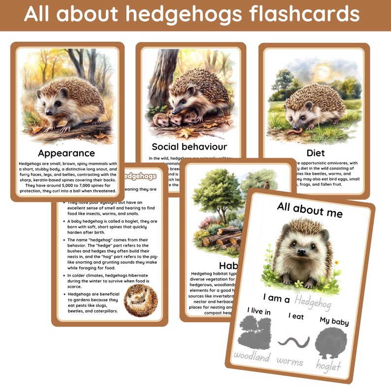 Hedgehog Learning Pack: Flashcards, Charts, Coloring (digital ...