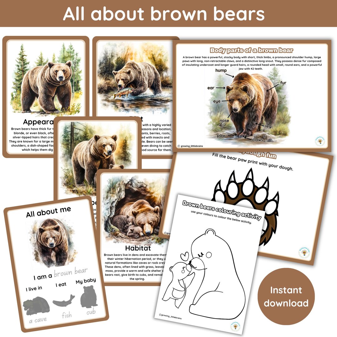 Brown Bear Learning Pack: Flashcards, Body Parts, Coloring (digital ...
