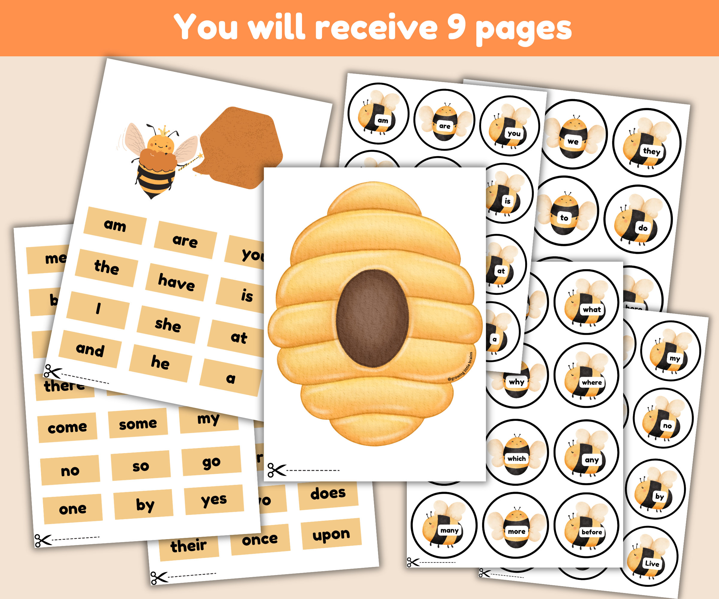 Beehive Sight Words Matching Activity Phonics Activity Sight Words ...