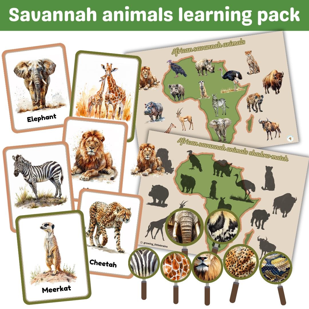 Savannah Animals Learning Pack | Set of 18 Flashcards | Pattern Match ...