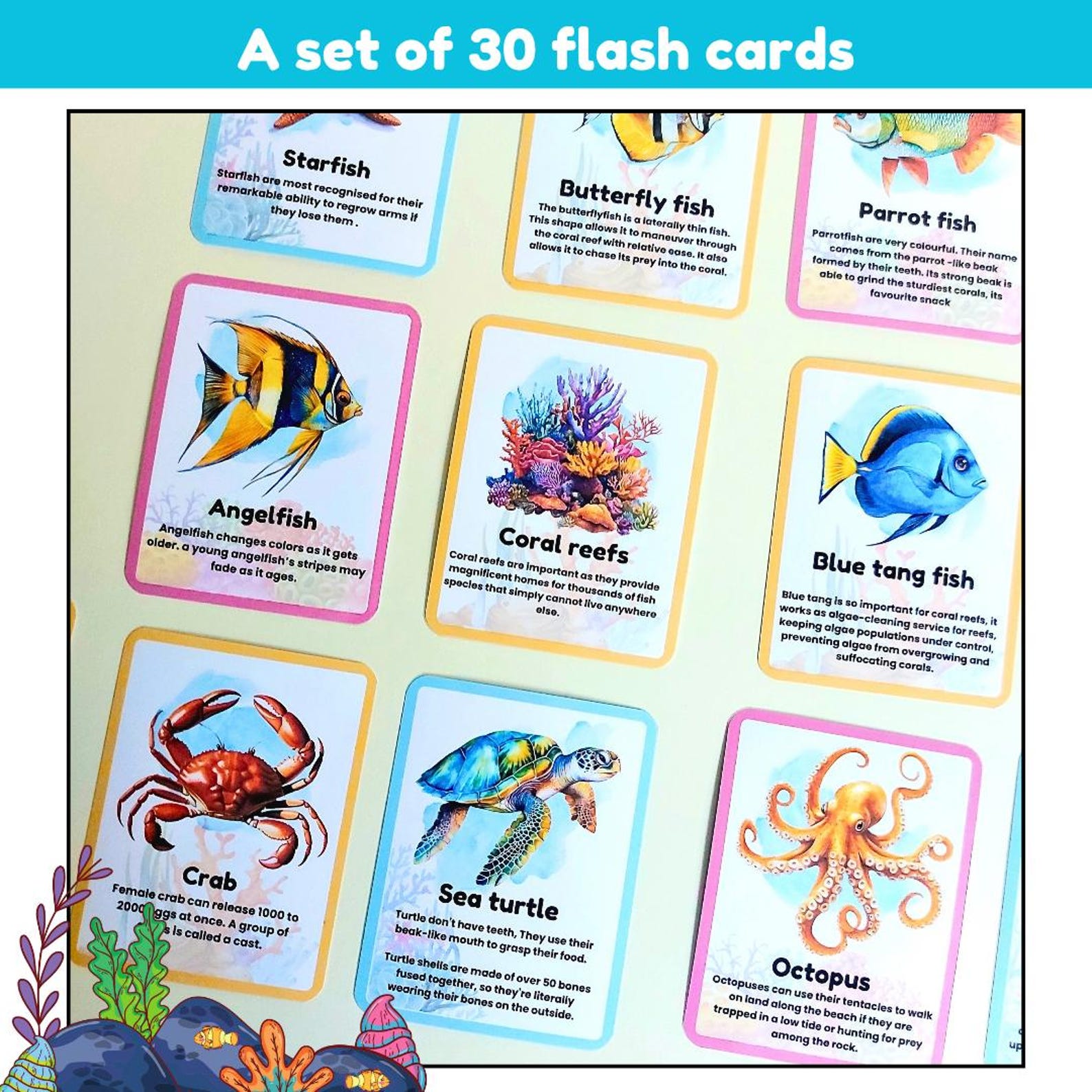 Sea Animals Facts Flashcards | Ocean Animals | Montessori | Sealife ...