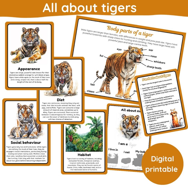 Tiger Diorama - Etsy