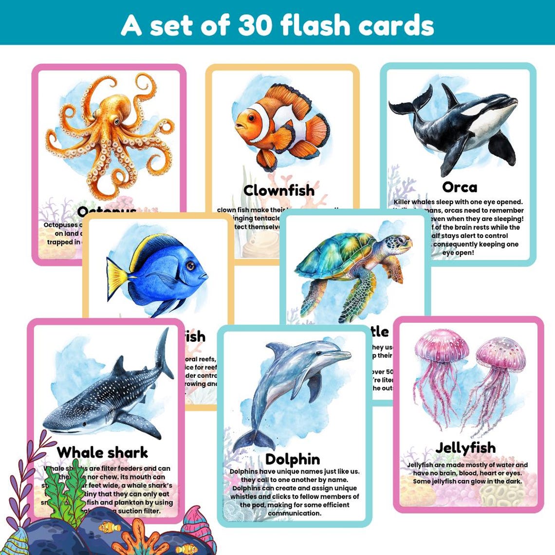 Sea Animals Facts Flashcards | Ocean Animals Flashcards | Sealife ...