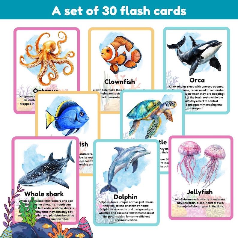 Sea Animals Facts Flashcards | Ocean Animals Flashcards | Sealife ...