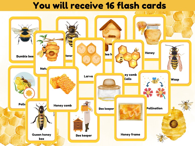 Bees Flash Cards Montessori Flashcards 16 Flashcards Digital Printables ...
