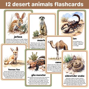 Desert Animals Learning Pack | 12 Facts Flashcards | Activity Sheets ...