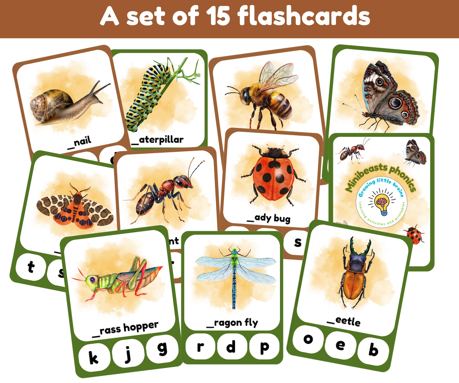 Minibeasts Phonics Flashcards | Beginning Sounds Flashcards | Bugs ...