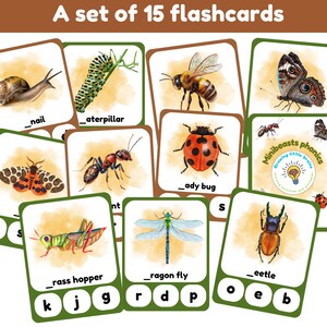 Minibeasts Phonics Flashcards | Beginning Sounds Flashcards | Bugs ...