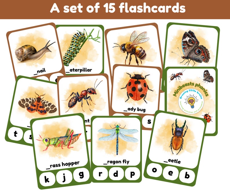 Minibeasts Phonics Flashcards | Beginning Sounds Flashcards | Bugs ...