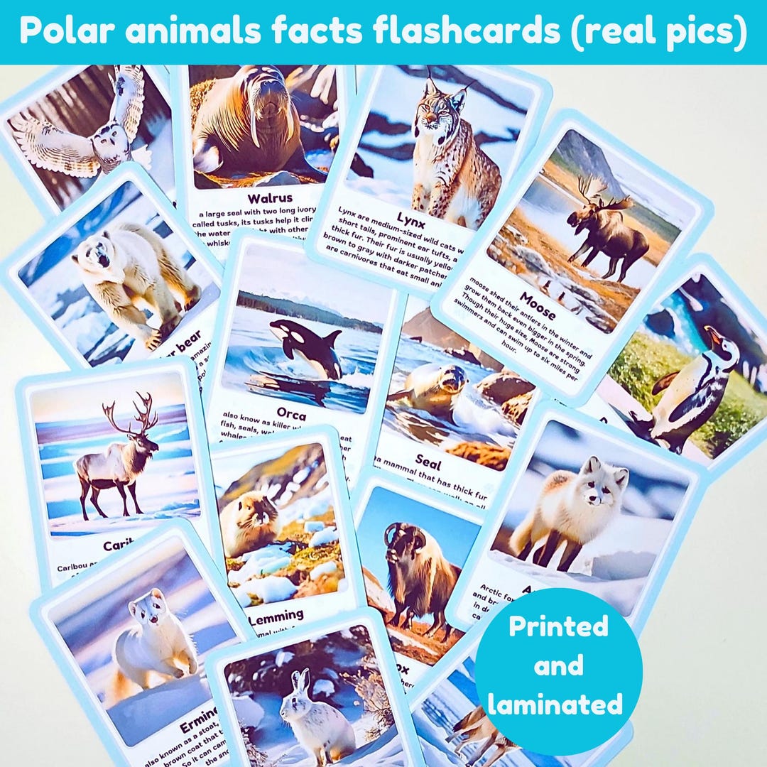 Polar Animals Facts Flashcards With Real Pictures | a Set of 20 ...