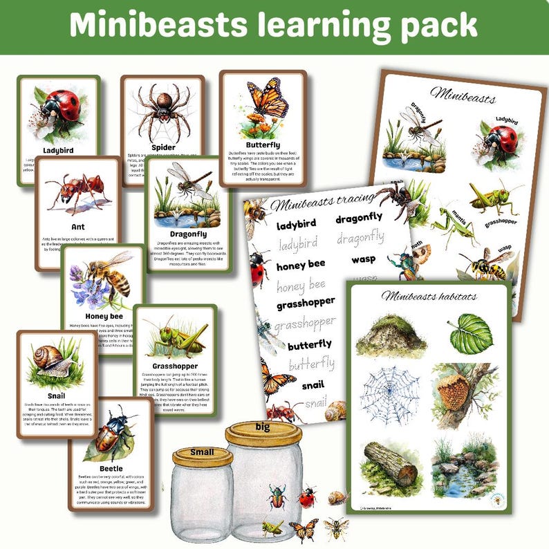 Minibeasts Learning Pack | 18 Facts Flashcards | Spring | Activity ...