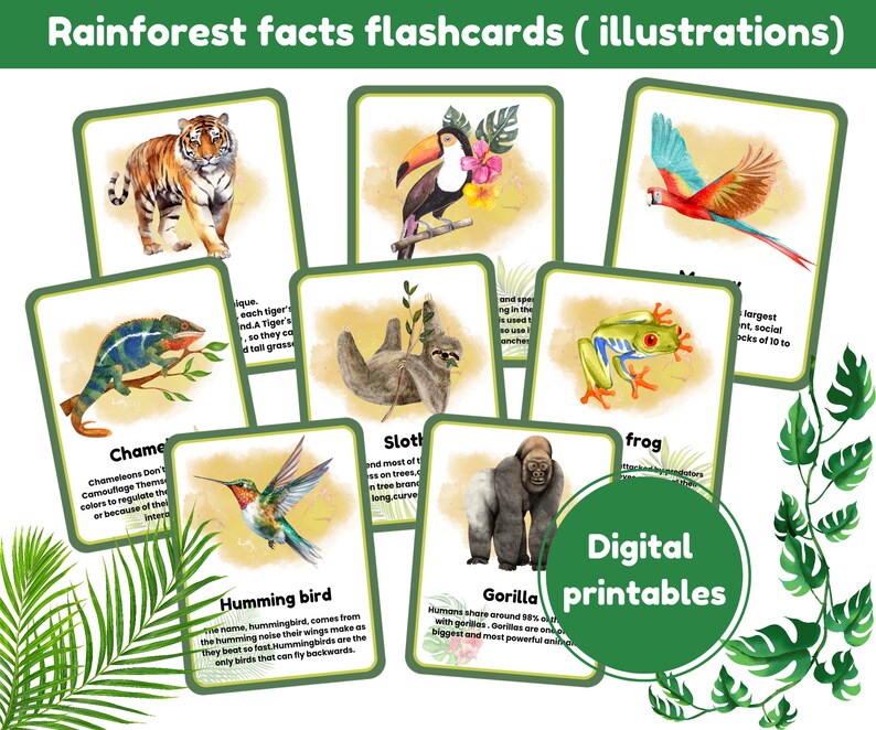 Rainforest Facts Flashcards Jungle Animals Flashcards With Beautiful ...