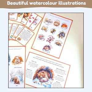 Hibernation Learning Pack | Winter | 20 Flashcards | A4 Posters and ...