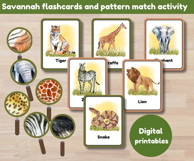 Savannah Flashcards and Pattern Match Activity | Set of 20 Flashcards ...