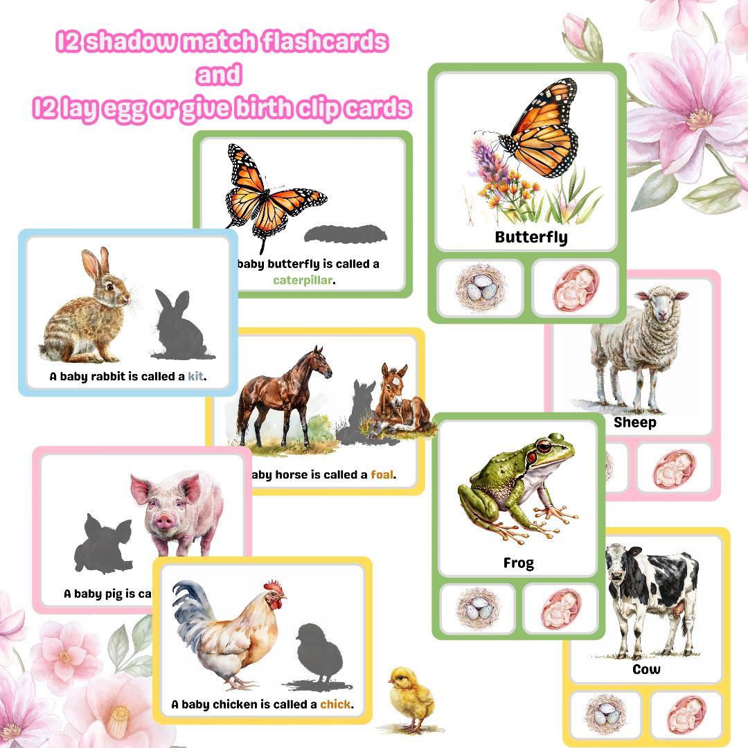 Spring Animals and Their Babies Learning Pack | Spring | Activity ...