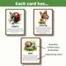 Minibeasts Learning Pack | 18 Facts Flashcards | Spring | Activity ...
