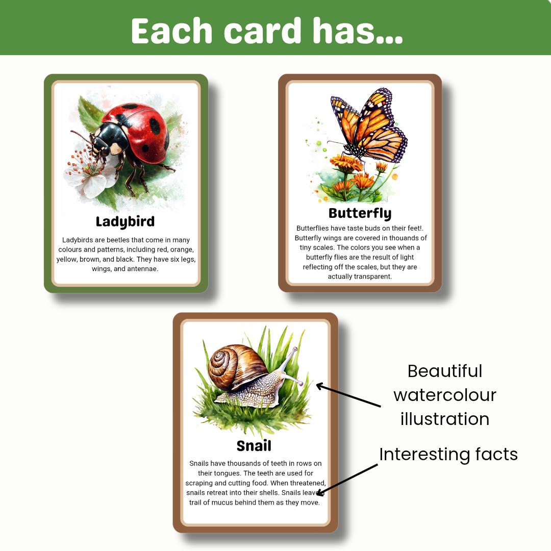 Minibeasts Learning Pack | 18 Facts Flashcards | Spring | Activity ...