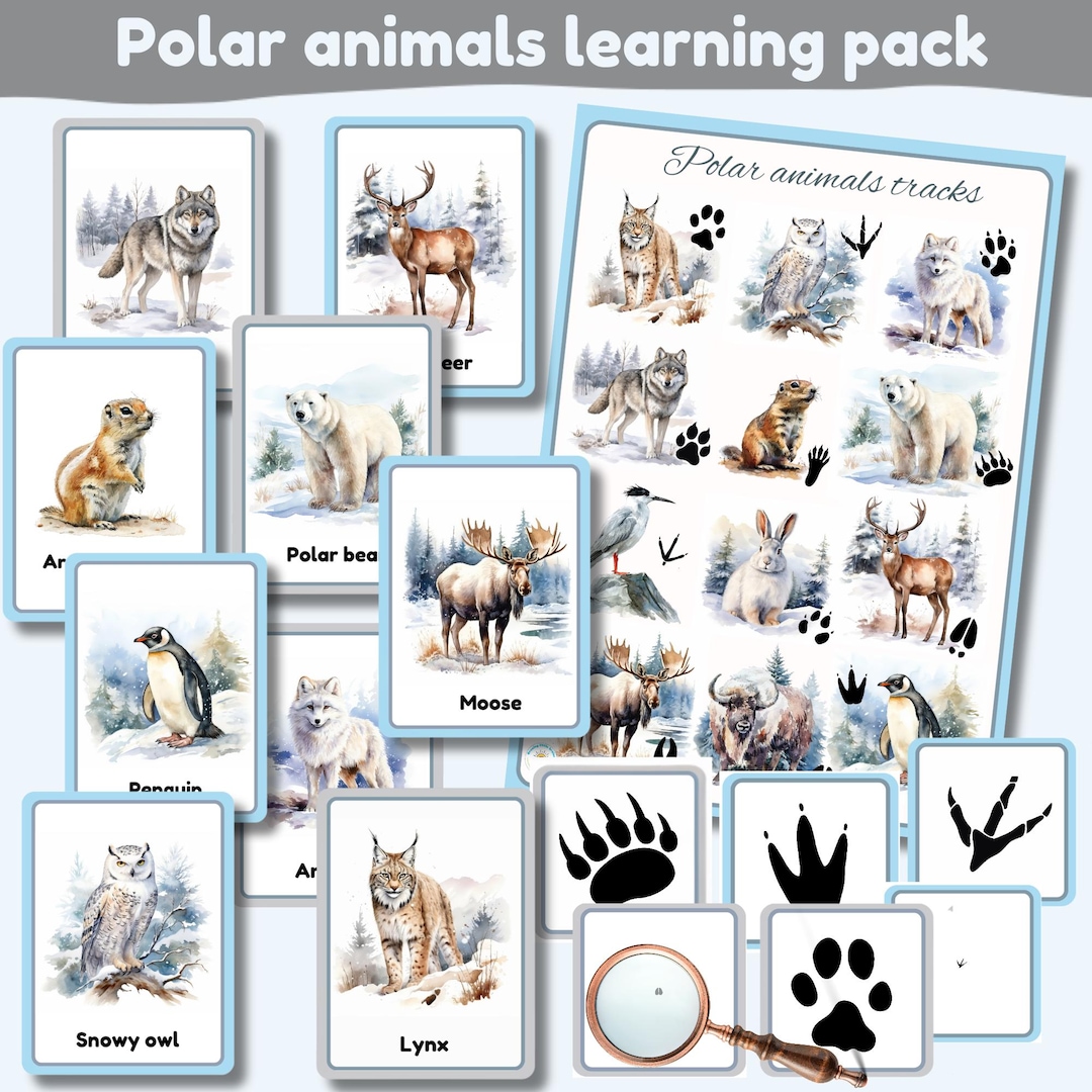 Polar Animals Learning Pack | Animals Tracks | Footprints | A4 Poster ...