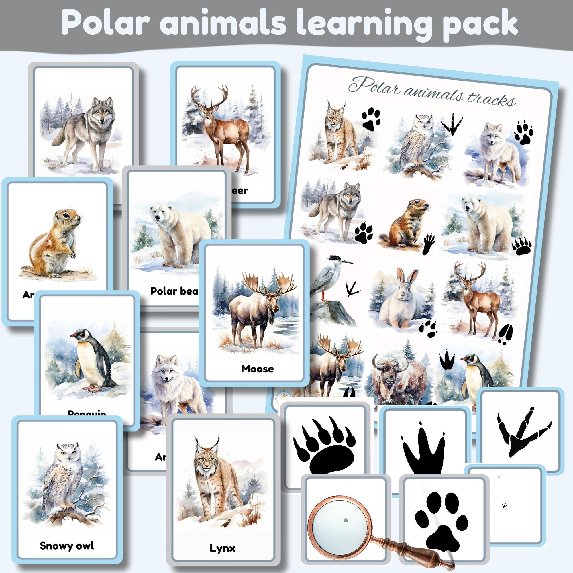 Polar Animals Learning Pack | Animals Tracks | Footprints | A4 Poster ...