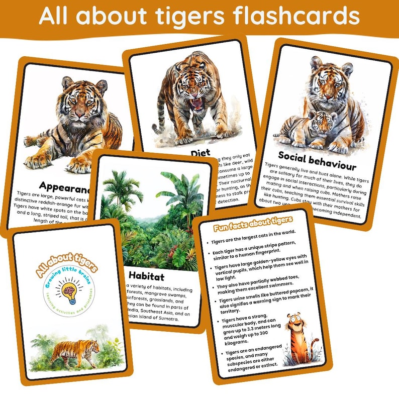 All About Tigers Learning Pack | Tiger | Rainforest | Jungle Animals ...