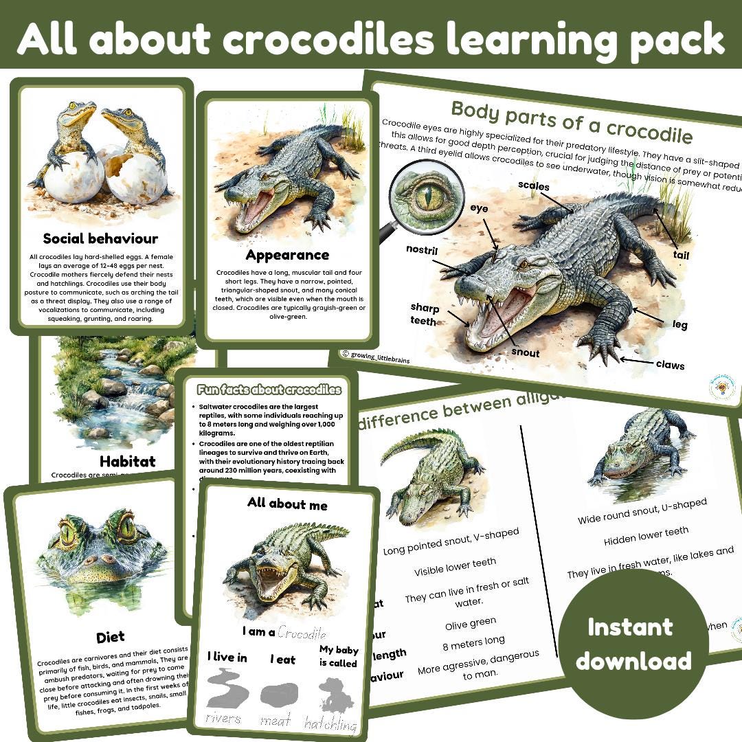All About Crocodiles Learning Pack | Crocodiles | Alligator | Animals ...