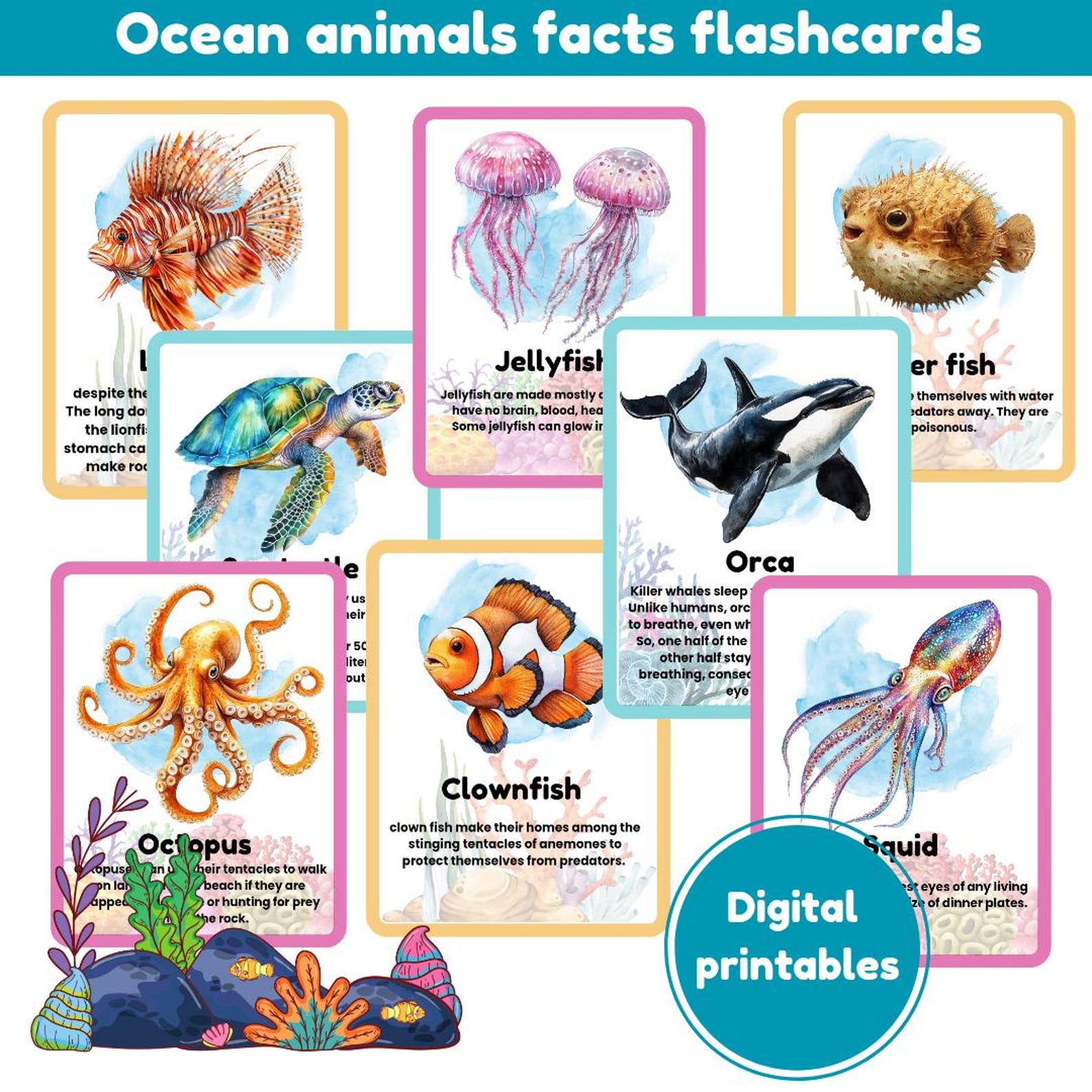Sea Animals Facts Flashcards | Ocean Animals Flashcards | Sealife ...