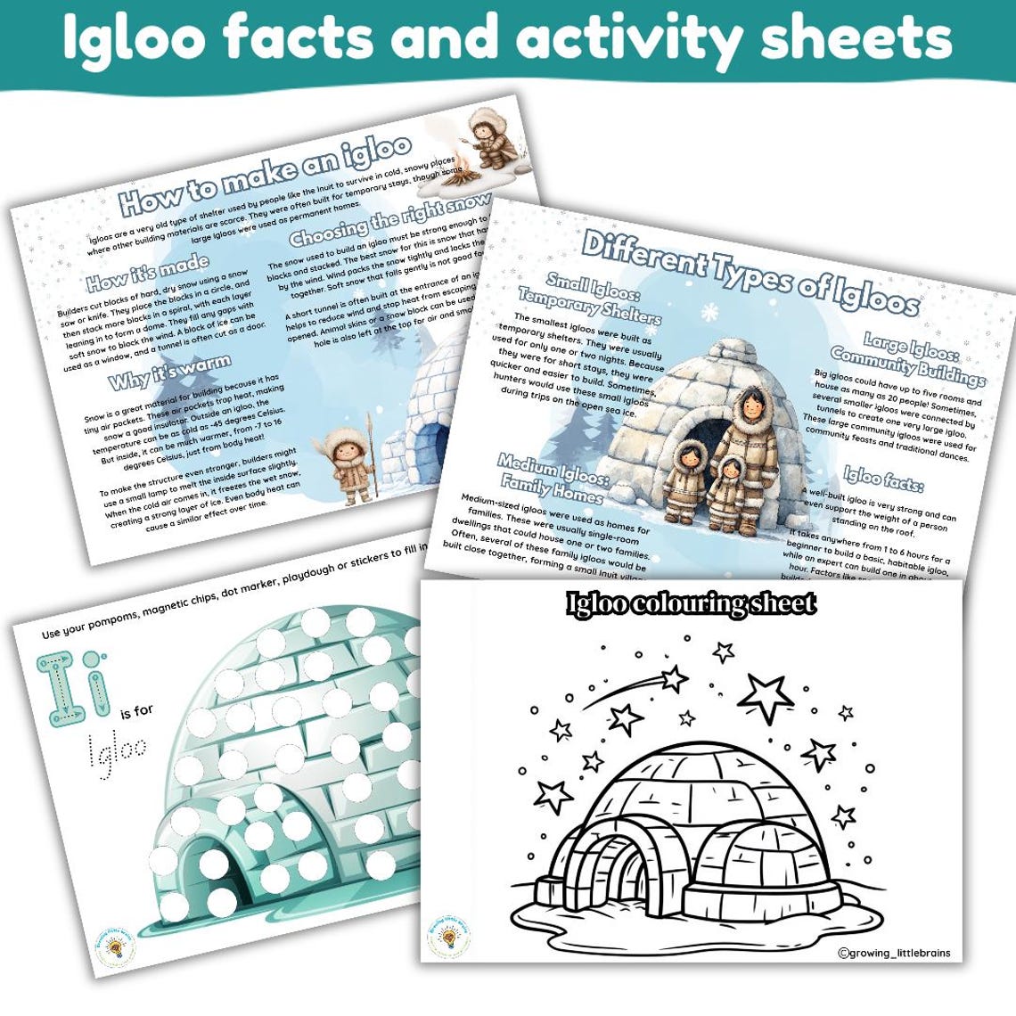 Inuit People Life Learning Pack: Many Facts, Igloo Facts, Activity ...