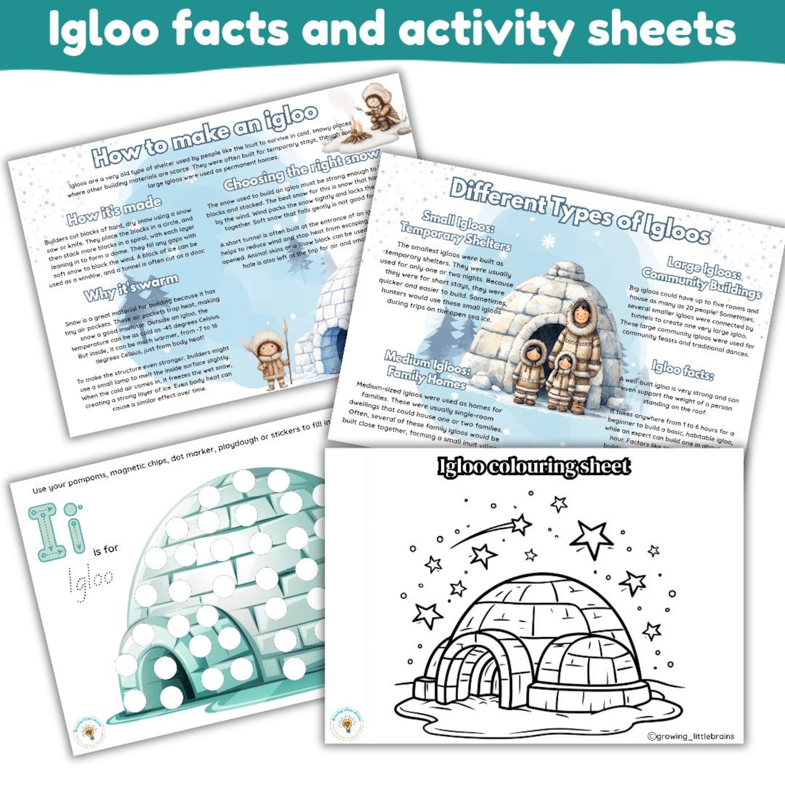 Inuit People Life Learning Pack: Many Facts, Igloo Facts, Activity ...