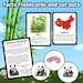 Lifecycle of a Giant Panda | Panda | Life Cycle | Jungle Animals ...