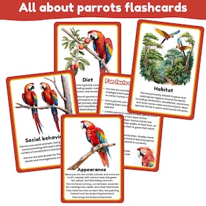 All About Parrots Learning Pack | Parrot | Rainforest | Jungle Animals ...
