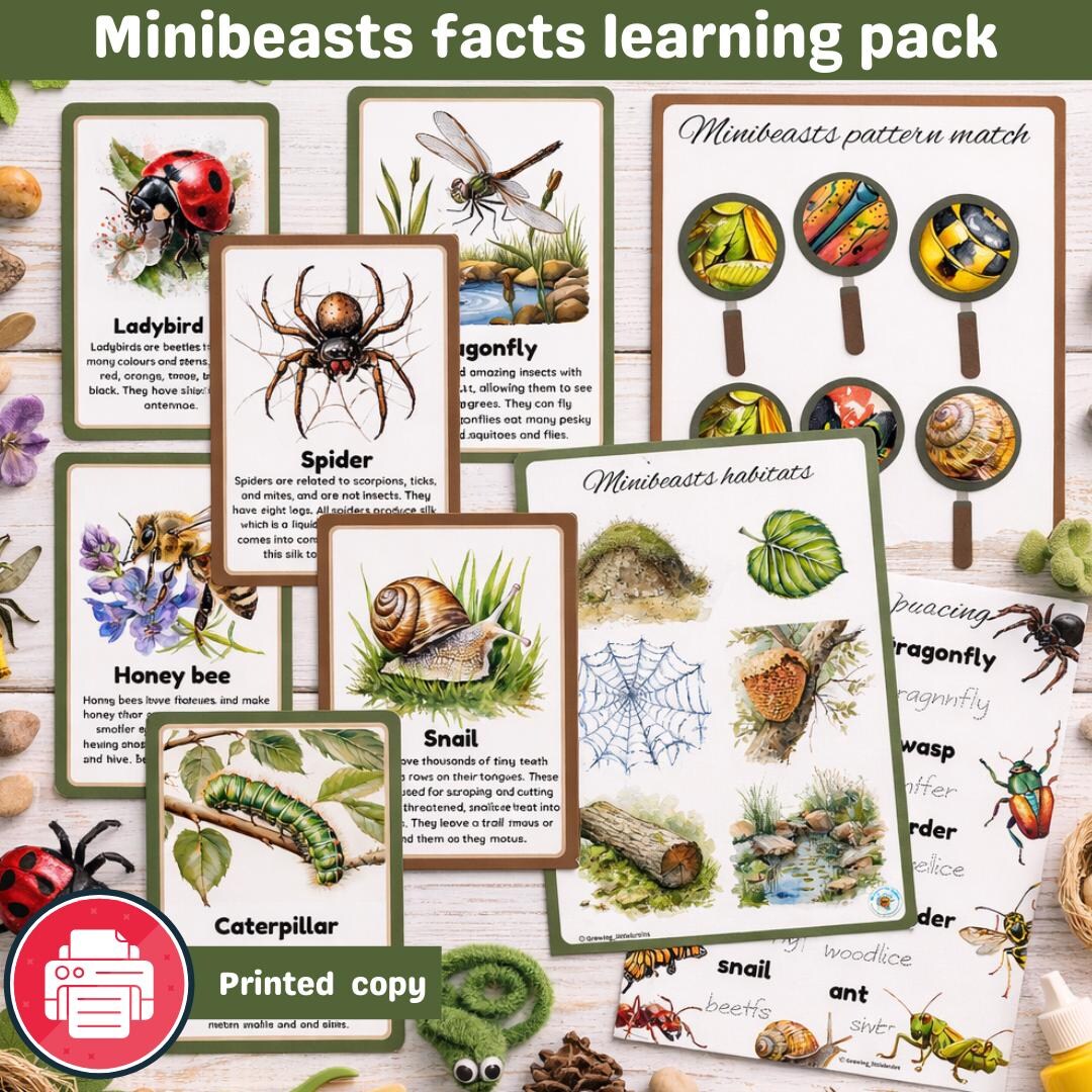 Minibeasts Learning Pack for Kids | Bug Flashcards & Activities ...