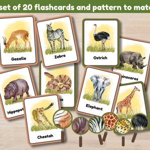 Savannah Flashcards and Pattern Match Activity | Set of 20 Flashcards ...