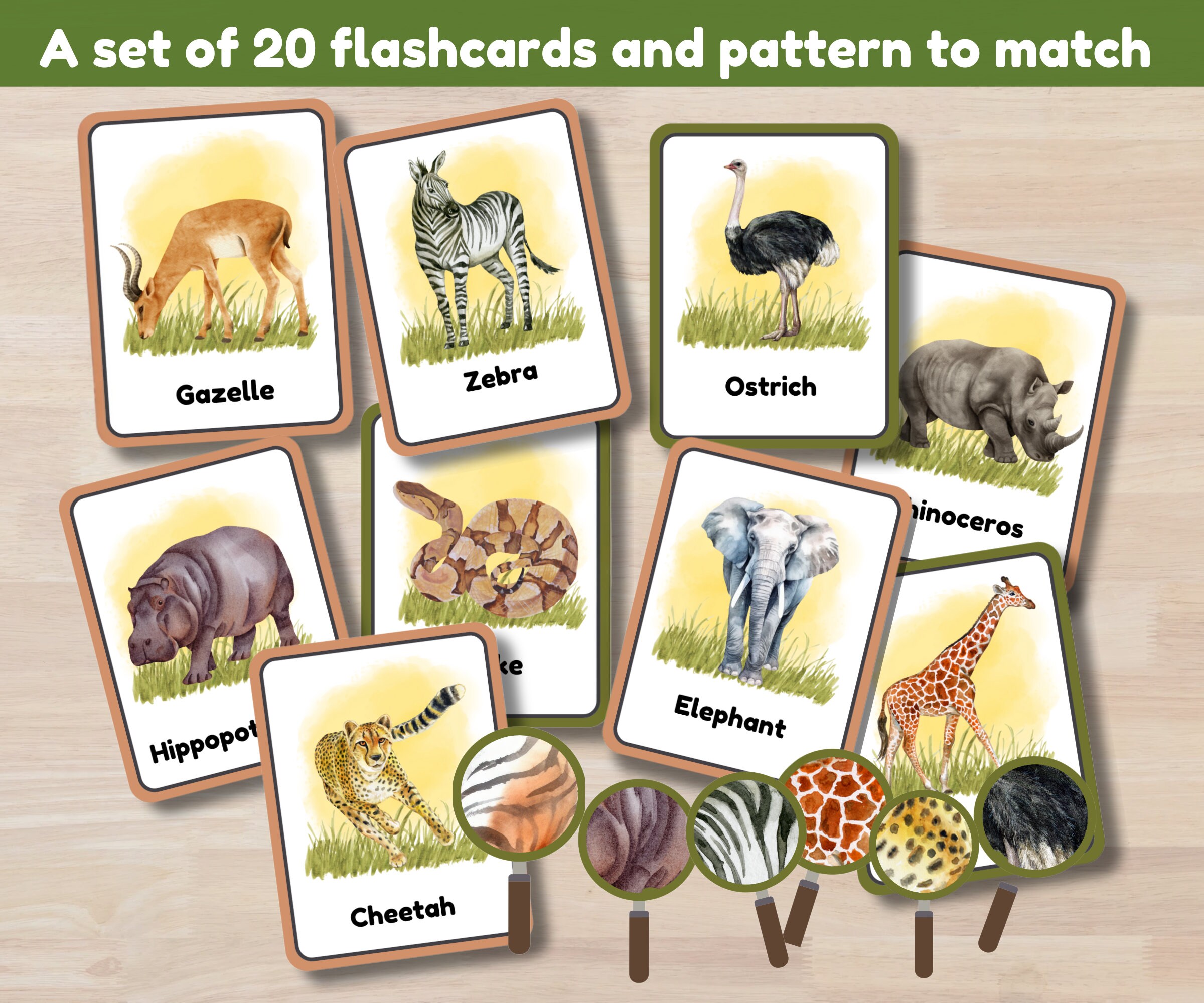 Savannah Flashcards and Pattern Match Activity | Set of 20 Flashcards ...