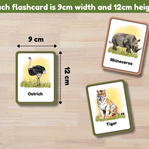 Savannah Flashcards and Pattern Match Activity | Set of 20 Flashcards ...