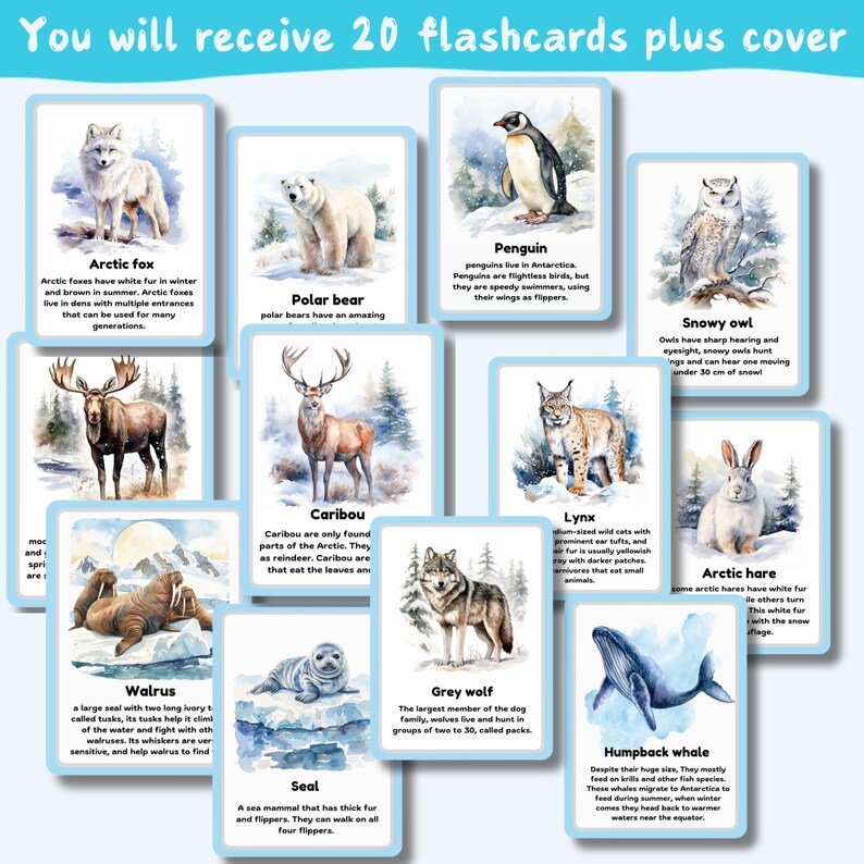 Polar Animals Facts Cards a Set of 20 Flashcards Plus Cover Arctic ...